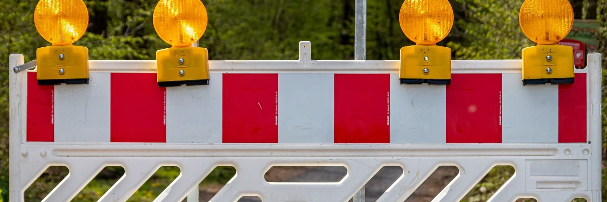 MTG Wangen: MTG Sample